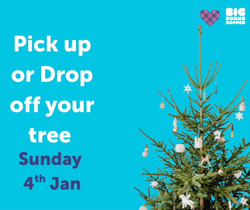 Christmas Tree Pick up and Drop off - Big Burns Supper